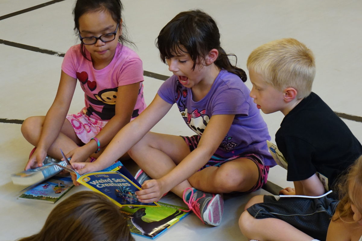 Host a Book Drive - Children's Literacy Foundation