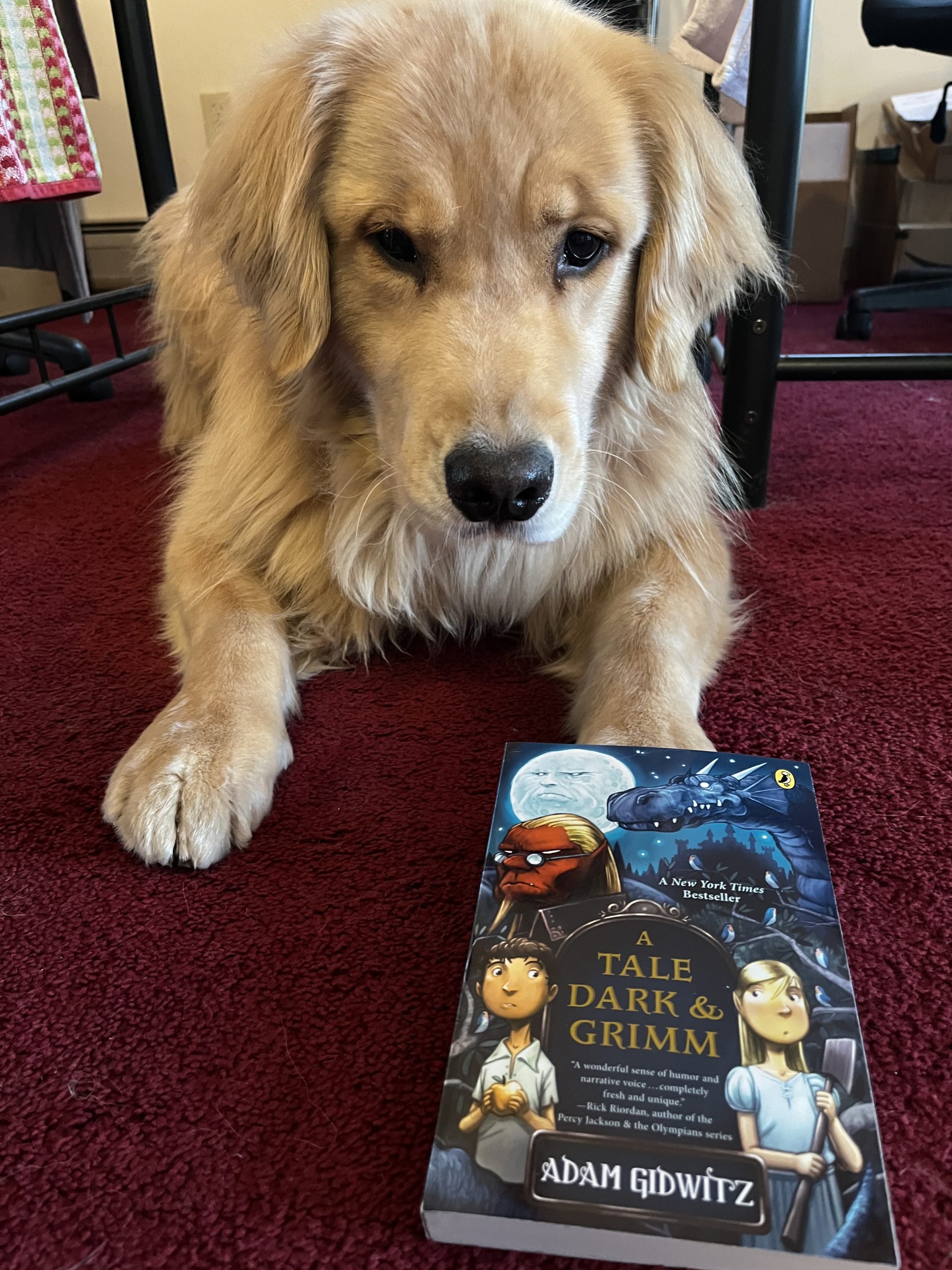 What the CLiF Team is Reading - Children's Literacy Foundation